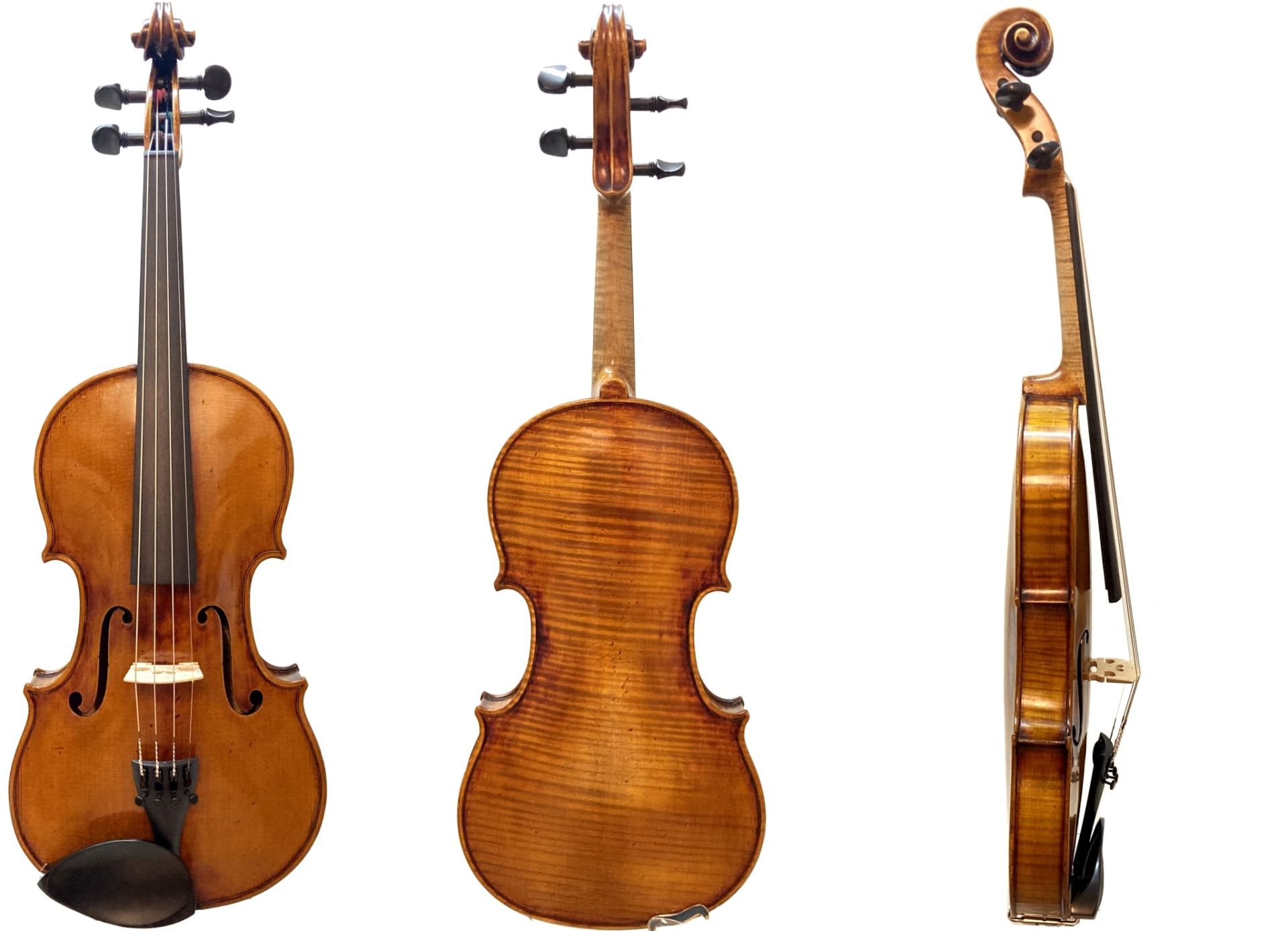 Geige kaufen im Geige24 Online-Shop